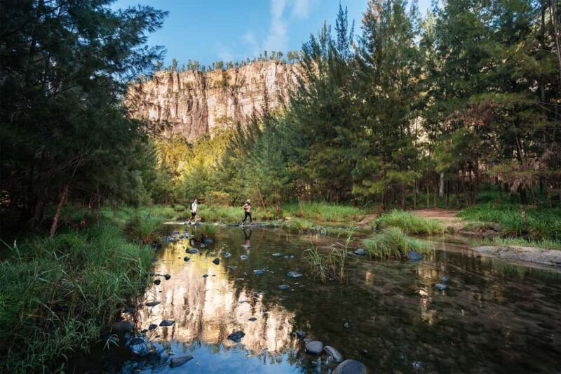 Roma: Lost World Carnarvons and Wallaroo Day Tour - The Value in the Price