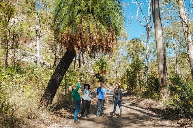 Roma: Lost World Carnarvons (Wallaroo) Day Tour - What Makes This Tour Stand Out