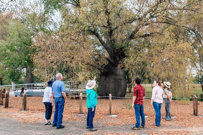 Roma Revelation Tour Experience - An In-Depth Look at the Roma Revelation Tour