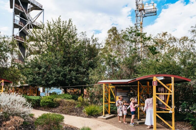 Roma: The Big Rig Oil Patch and Tower & Tree Walk - Why It Works for Different Travelers