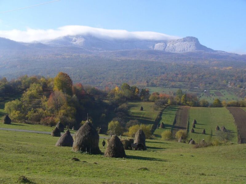 Romania: private 12 days tour with bed and breakfast - An In-Depth Look at Romania’s Highlights
