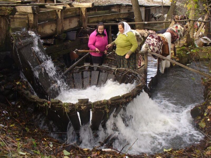 Romania: private 12 days tour with bed and breakfast - Who Will Love This Tour?