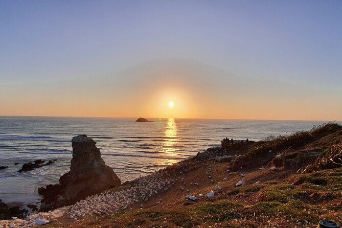 Romantic Auckland Sunset tour with Winery & Thermal pool - Romantic Auckland Sunset Tour with Winery & Thermal Pool: A Balanced Look at an Uniquely Relaxing Experience