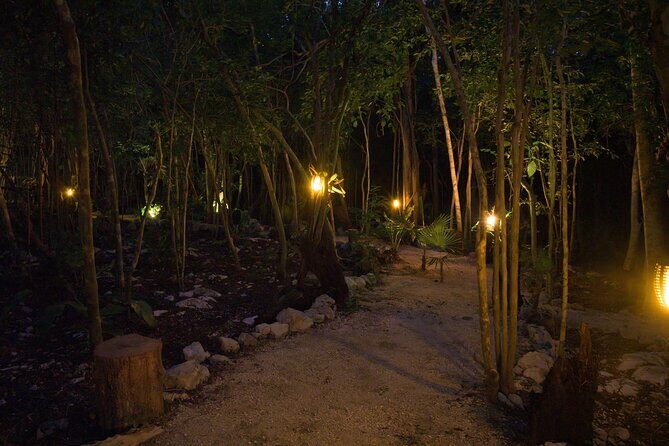 Romantic Dinner for 2 in Magical Jungle Setting - An Authentic Night in the Jungle: What to Expect