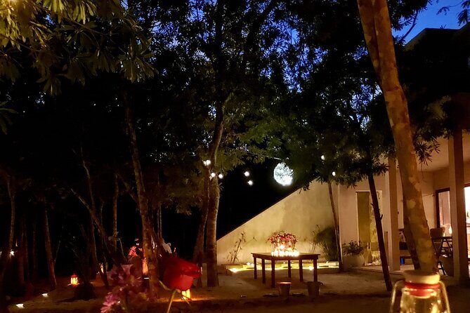 Romantic Dinner for 2 in Magical Jungle Setting - Final Thoughts: Is It Worth It?