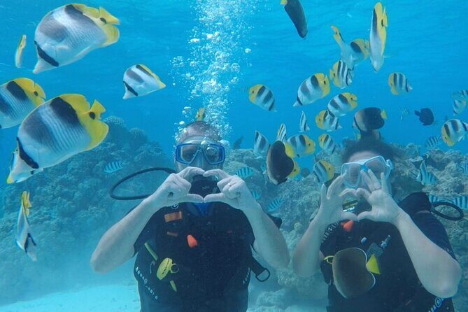 Romantic Dive for beginners in Bora Bora (2 people) with Video - Bora Bora’s Romantic Dive for Beginners: A Deep Dive into a Memorable Experience