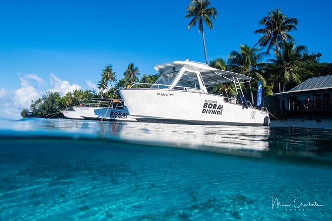 Romantic Dive for beginners in Bora Bora (2 people) with Video - FAQ