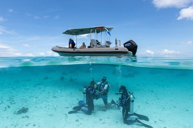 Romantic dive in the lagoon of Bora Bora - Discovering the Magic of Bora Bora’s Lagoon