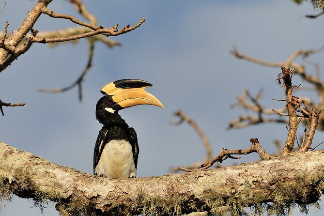 Romantic Glamping Safari Bordering Yala National Park 2- days - Seamless Pickup and Comfortable Transport