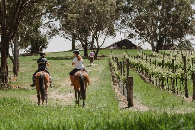 Romantic Horse Trail Ride with Wine and Food in Adelaide Hills - Introduction: A Romantic Adventure in the Adelaide Hills