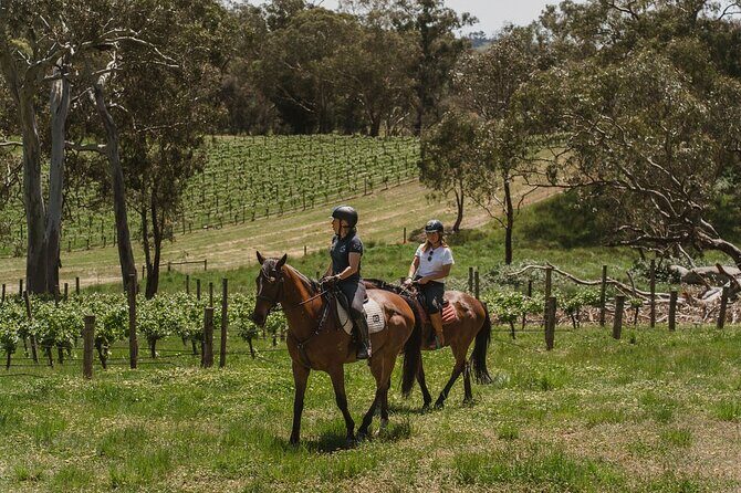 Romantic Horse Trail Ride with Wine and Food in Adelaide Hills - A Closer Look at the Experience