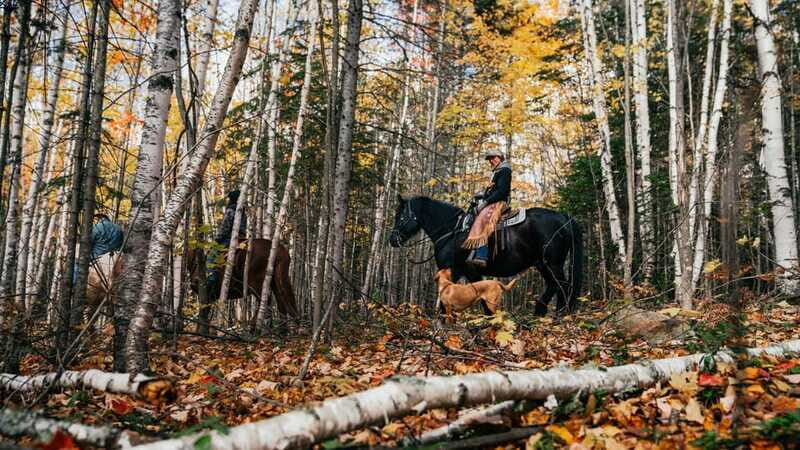 Romantic horseback riding at sunset : La Crépuscule - The Sum Up: A Quiet, Flavorful Escape in Charlevoix