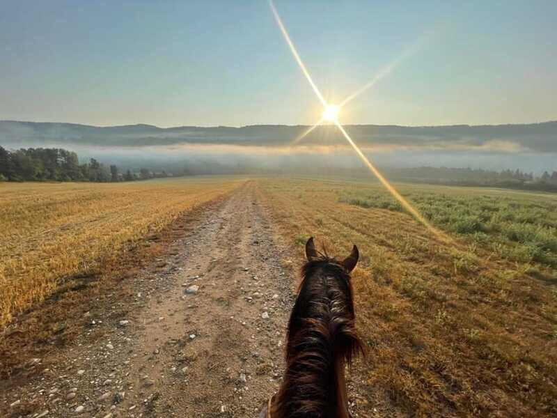 Romantic horseback riding at sunset : La Crépuscule - FAQ