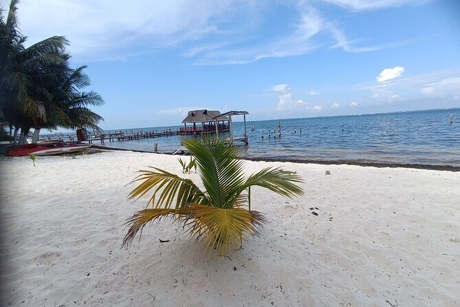 romantic picnic with a view of the caribbean sea - The Sum Up