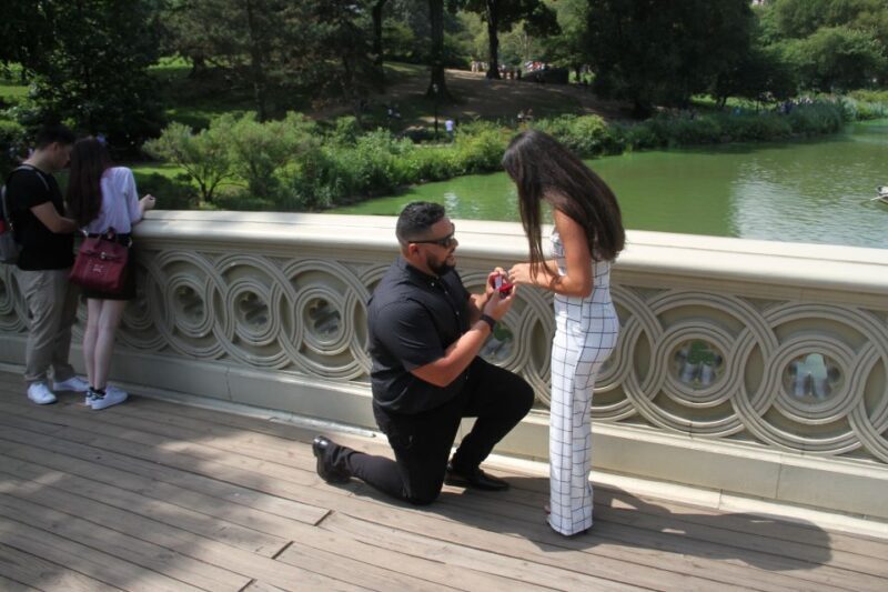 Romantic/Proposal Central Park Carriage Tour Up to 4 Adults - An Honest Look at the Carriage Ride Experience