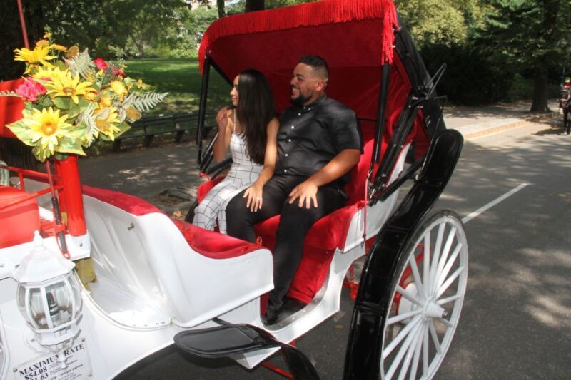 Romantic/Proposal Central Park Carriage Tour Up to 4 Adults - The Reviewers Say