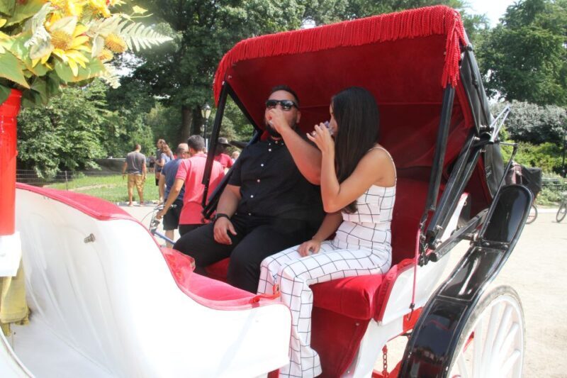 Romantic/Proposal Central Park Carriage Tour Up to 4 Adults - The Look and Feel of the Ride