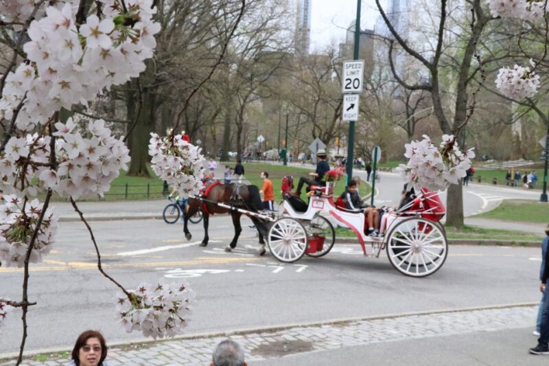 Romantic/Proposal Central Park Carriage Tour Up to 4 Adults - Final Thoughts