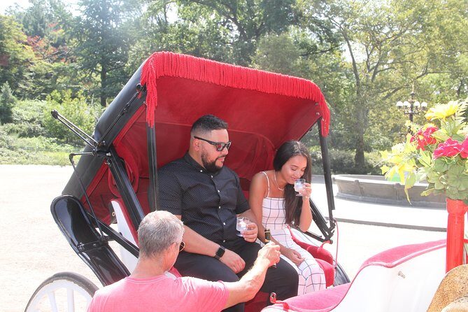 Romantic/Proposal Central Park Carriage Tour (Up to 4 Adults) - Authentic Voices: What Travelers Say