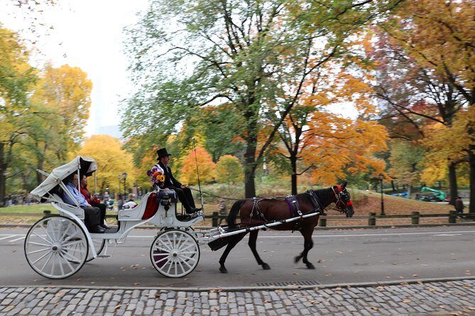 Romantic/Proposal Central Park Carriage Tour (Up to 4 Adults) - Final Thoughts: Is This Carriage Ride Worth It?