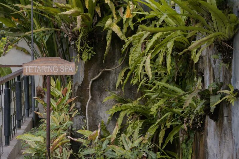 Romantic Ritual Massage - What to Expect from Your Booking