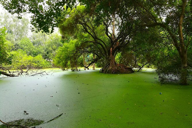 Romantic tour in Ludhiana - Key Points