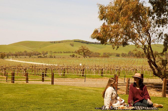 Romantic Vineyard Horse Riding and Picnic - Price and Value