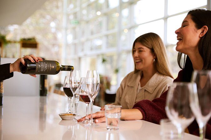 Romantic Vineyard Horse Riding and Picnic - Who Is This Tour Best For?