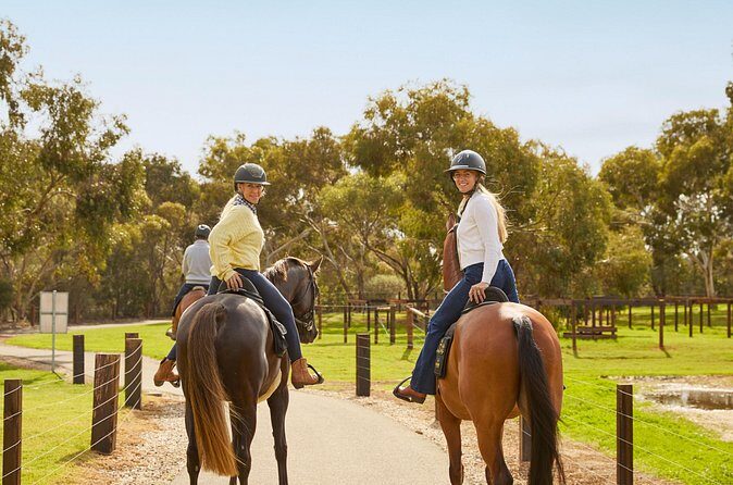 Romantic Vineyard Horse Riding and Picnic - The Sum Up