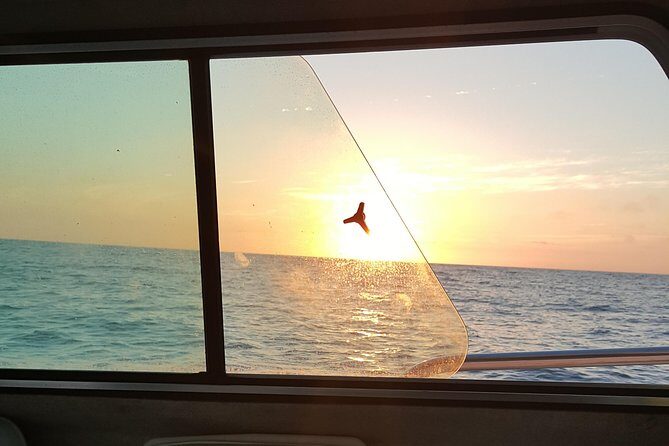 Romantic Wine and Cheese Boat Tower Cruise - Setting the Scene: What to Expect on Your Sunset Cruise