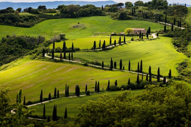 ROMANTIC WINE TOUR FOR 2 - Wine Tour in Chianti (Tuscany) - Authentic Experiences and What Travelers Say