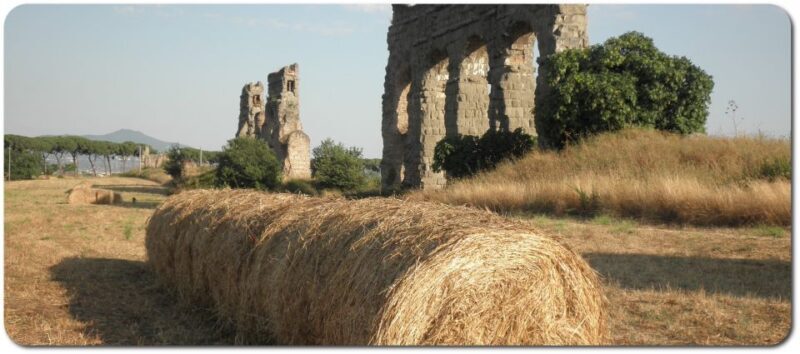 Rome: Appian Way E-Bike Tour Catacombs, Aqueducts & Picnic - Key Points