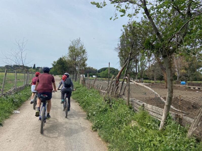 Rome: Appian Way Guided Tour on E-Bike with italian Aperitif - A Clearer Picture of the Tour Experience