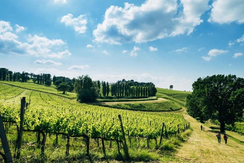 Rome: Assisi, Montefalco wines & Perugia Day Trip with Lunch - The Journey Begins: From Rome to Umbria