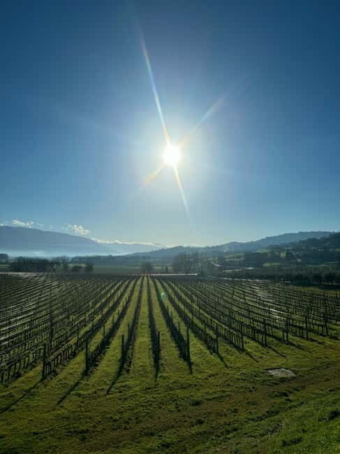 Rome: Assisi, Montefalco wines & Perugia Day Trip with Lunch - Final Thoughts: Is It Worth It?
