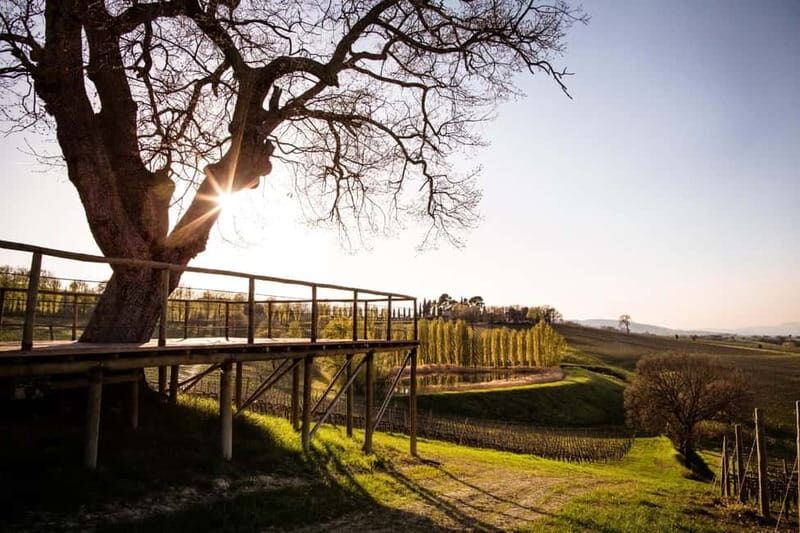Rome: Assisi, Montefalco wines & Perugia Day Trip with Lunch - FAQ