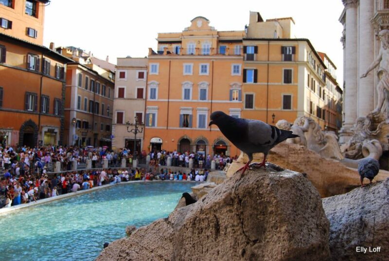 Rome: basic city walking tour - Practical Tips