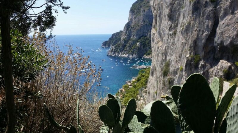 Rome: Capri Day Trip with Private Driver and Guide - Who Is This Tour Best For?