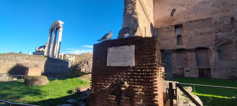 Rome: Colosseum ARENA FLOOR - Private Tour - Tour Duration and Flexibility