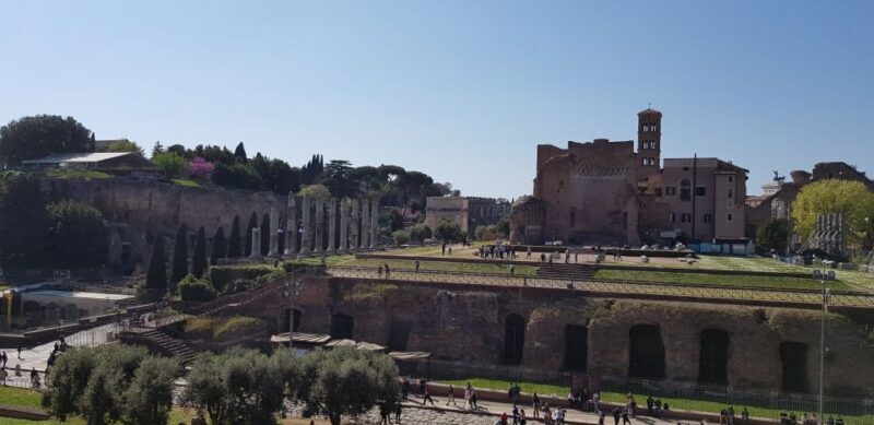 Rome: Colosseum Arena, Forum & Palatine Hill Private tour - Authentic Experiences and Honest Feedback