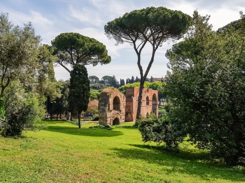 Rome: Colosseum Arena, Palatine Hill & Forum Guided Tour - Key Points
