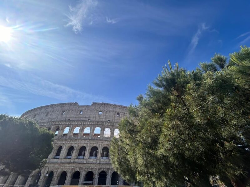 Rome: Colosseum Arena, Roman Forum & Palatine Tour - Considerations and Practical Tips