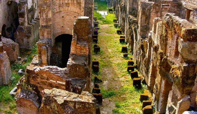 Rome: Colosseum Gladiator's Arena and Roman Forum Tour - Who Should Book This Tour?