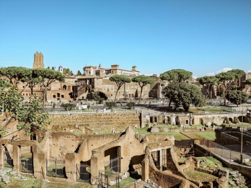 Rome: Colosseum, Roman Forum And Palatine Hill Guided Tour - Practical Considerations
