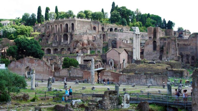 Rome: Colosseum, Roman Forum and Palatine Hill Private Tour - Who Should Book This Tour?
