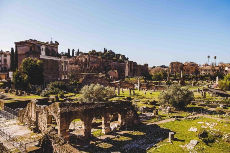 Rome: Colosseum, Roman Forum, & Palatine Hill Guided Tour - Who Will Love This Tour?