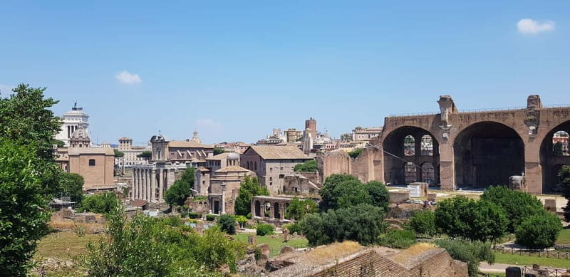 Rome: Colosseum, Roman Forum, & Palatine Hill Guided Tour - What You Can Expect from This Tour