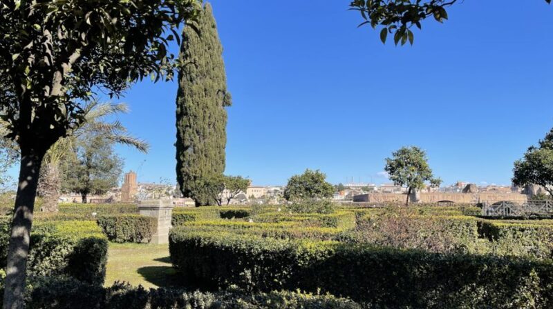 Rome: Colosseum, Roman Forum, Palatine Hill Small Group Tour - An In-Depth Look at the Tour