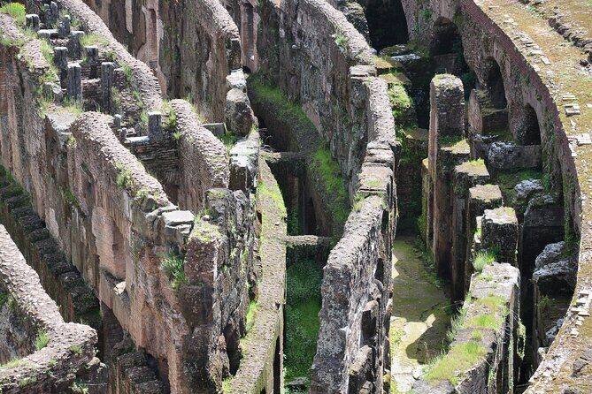 Rome: Colosseum Underground Full Experience Tour - Conclusions: Who Will Love This Tour?