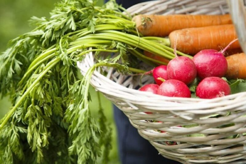 Rome: Cooking Lesson to learn the Secrets of Italian Cuisine - Introduction